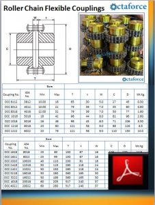 Roller Chain Coupling - Octaforce